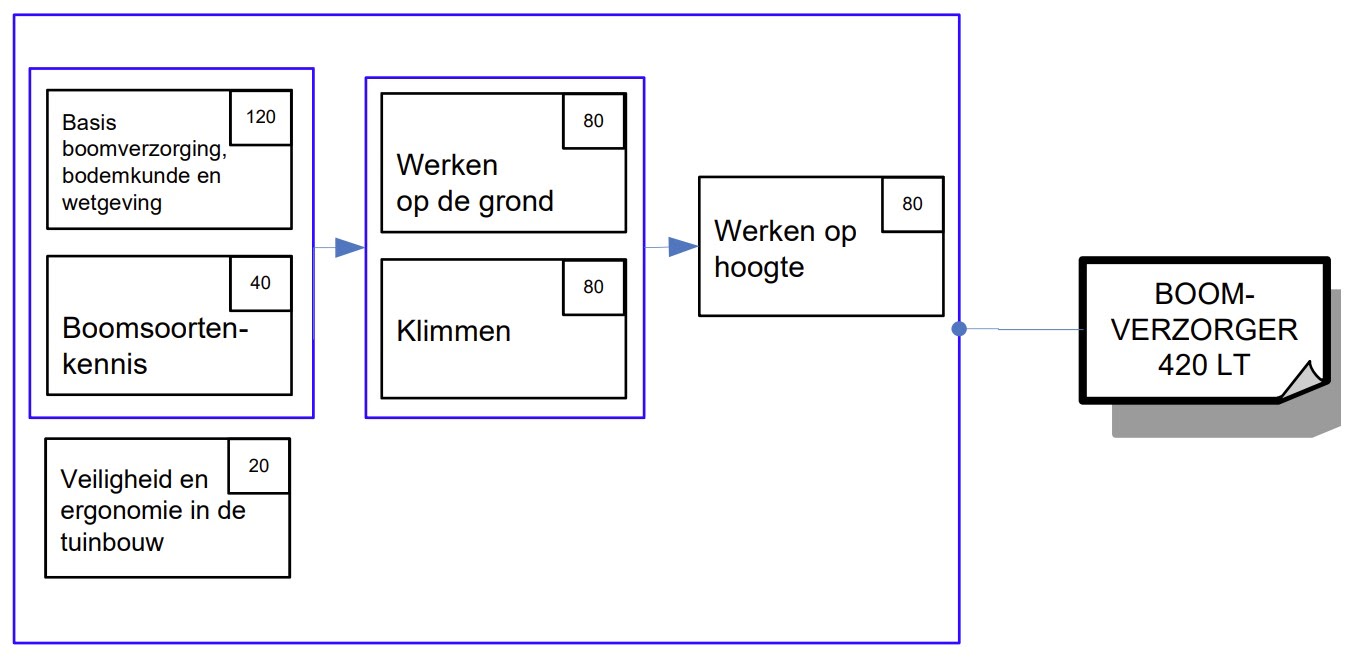 Boomverzorger - CVO Gent